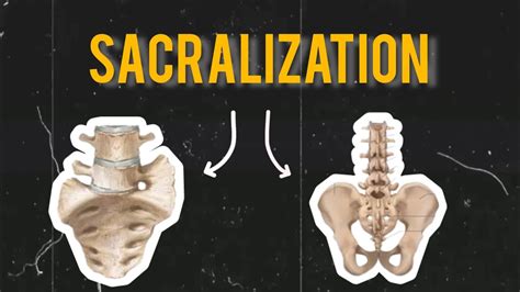 1 Minute Sacralization Easy To Understand Youtube