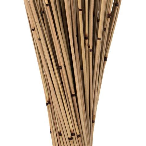 Primrue 30 Natural Marsh Reed Bundle Tied With Rafia 10 Oz Dried