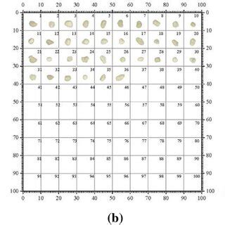Forcedisplacement And Morphology Changes In The Calcareous Sand Download Scientific Diagram