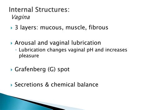 Ppt Chapter 3 Female Sexual Anatomy And Physiology Powerpoint