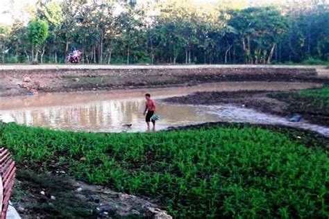 Telaga Tileng Bakal Dinormalisasi Espos Id Espos Indonesia Dari Solo Untuk Indonesia