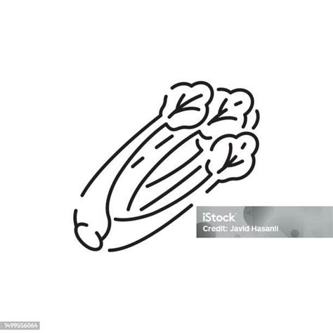 야채 얇은 선 아이콘입니다 채식주의자 채소 토마토 오이 알 줄기 양배추 콜리 플라워 패티 판 스쿼시 바이올린 헤드 좋은 음식과 건강으로 간단한 벡터 아이콘 가지 채소에 대한