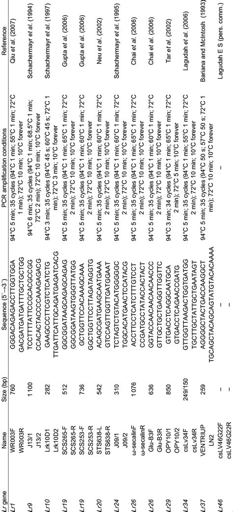 Primer Sequences And Pcr Amplification Programs For Different Primer Download Scientific