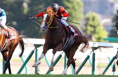 ジャックドール、次走12・11香港cで武豊と新コンビ 天皇賞・秋は4着 Jra Van World 海外競馬情報サイト