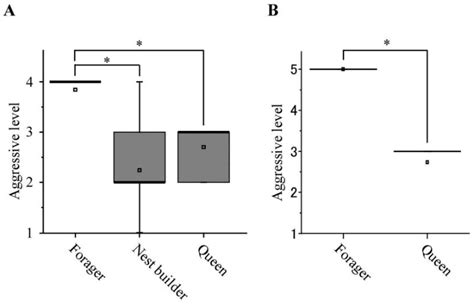 Figure 1 From Octopaminergic System In The Brain Controls Aggressive Motivation In The Ant