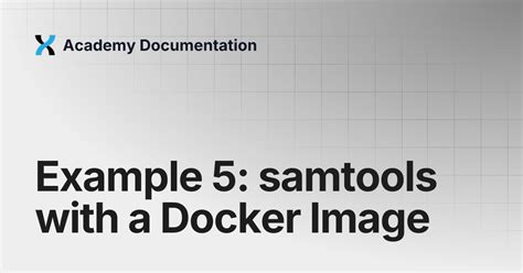 Example 5 Samtools With A Docker Image Academy Documentation