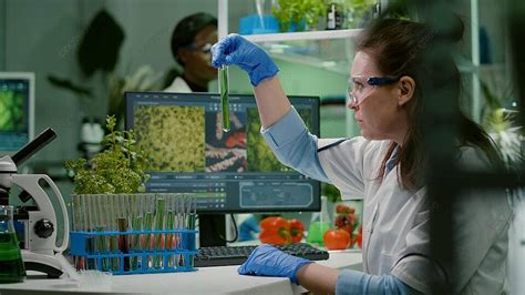 Biochemistry Doctor Examining Chemical Test Under Microscope Microscope Chemistry Experiment