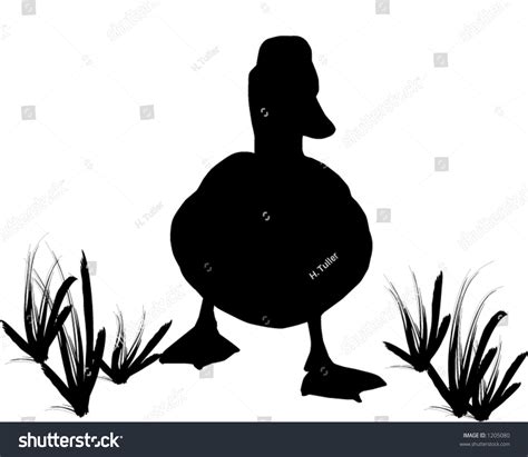 Walking Duck Grass Silhouette Vector All Vector De Stock Libre De