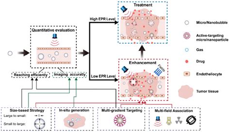 Ideal Process For Tumor Diagnosis And Treatment Based On The Epr Effect Download Scientific