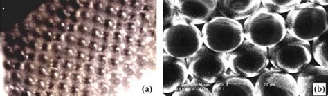 A A Polaroid Image Through A 70x Zoom Microscope Of 80µm Polystyrene