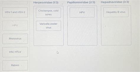 Solved Classify The Diseases Or Dna Viruses Into The Correct