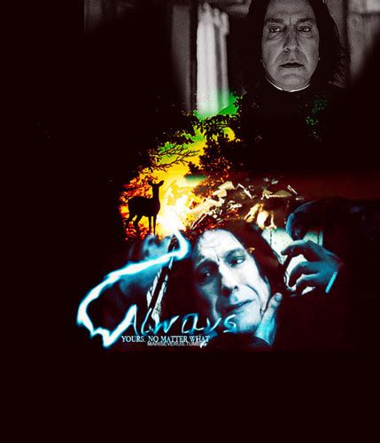 Wallpaper Smiling Severus Severus Snape Photo 24196036 Fanpop