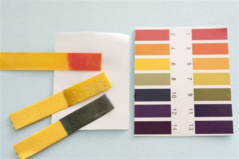Litmus Paper Expiration Date At Gerald Merritt Blog