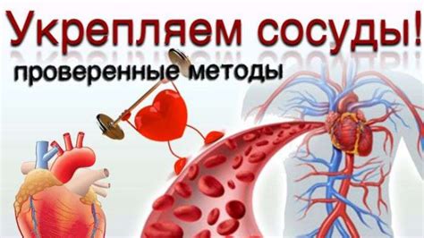 Укрепление сосудов Флеболог Москва Youtube