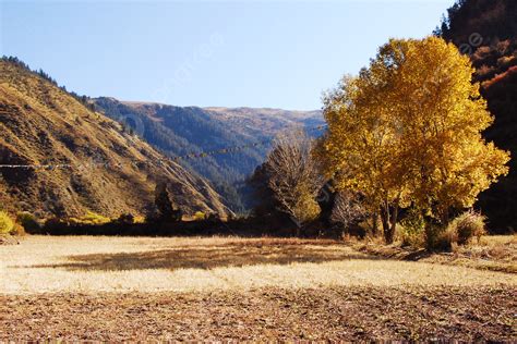 신룡피차구의 시골풍경 들판 밭 높은 산 배경 일러스트 및 사진 무료 다운로드 Pngtree