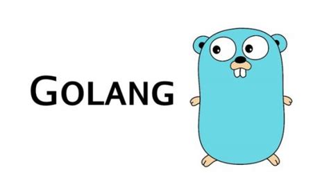 A Complete Guide Of Golang Programming Wizbrand