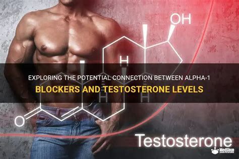 Exploring The Potential Connection Between Alpha 1 Blockers And Testosterone Levels Medshun
