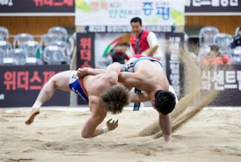 증평군 제23회 증평인삼배 전국장사씨름대회 개최