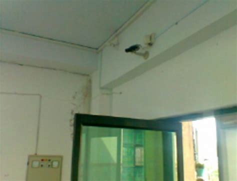 Decision Making Algorithm Download Scientific Diagram