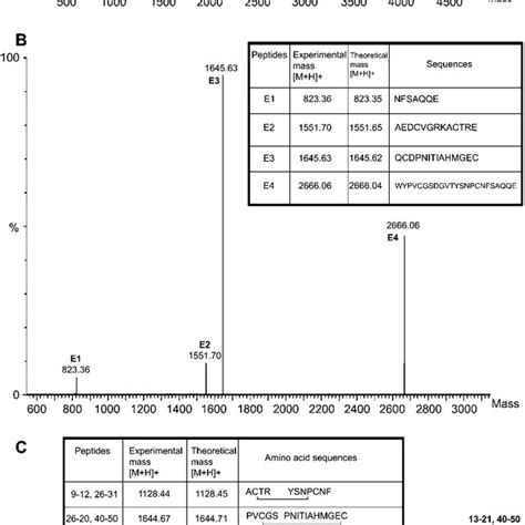 Esi Ms Spectra Of Cmpi Ii Peptides Hydrolysis Of Derivatized Cmpi Ii