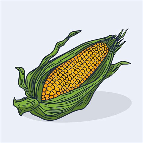Free Vector Hand Drawn Corn On The Cob Drawing Illustration