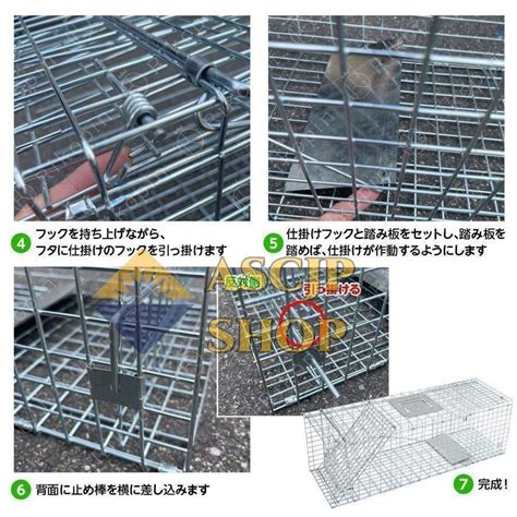捕獲器 猫 アニマルトラップ XLサイズ 94cm36cm34cmトラップ 箱罠 イタチ 駆除 捕獲 踏板式 捕獲機 動物 小動物 子猫