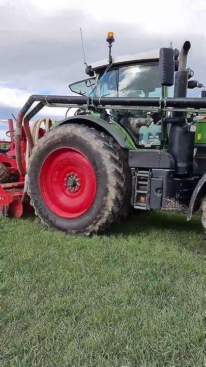 Syntropic Agroforestry Initiation Big Tools Make It Easy Youtube