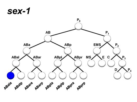 Digital Development Gene Details