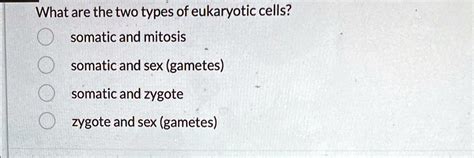 What Are The Two Types Of Eukaryotic Cells Somatic And Mitosis Somatic And Sex Gametes