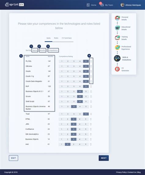 Sprint Cv It Consultant Tutorial Learn How To Use Our Tool