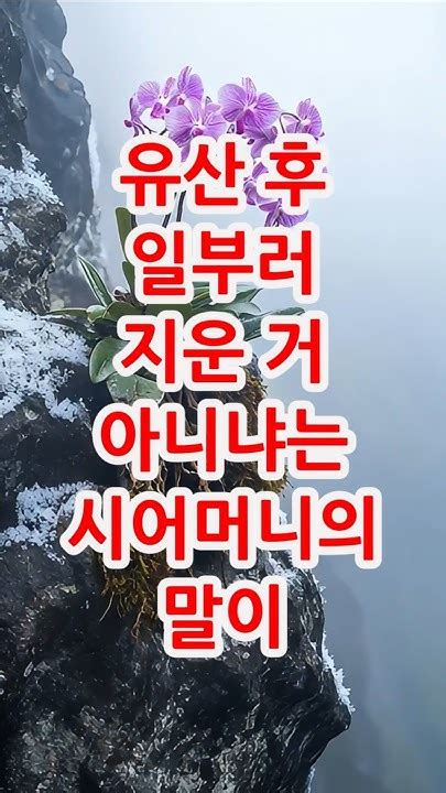 아이를 지키지 못했는데 그들이 한 말은 사연라디오 유산고통 시월드폭로 이혼고민 인생사연 시어머니 Youtube