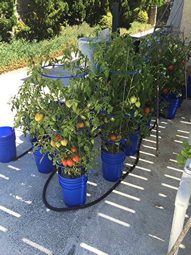 Multi Flow Hydroponics System Gravity Ebb And Flow Bucket Controller Brain Unit … Pricepulse