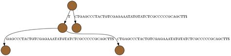Some Bioinformatics Suffix Tree Construction And The Longest Repeated Substring Problem In