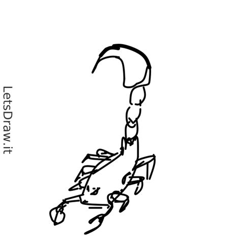 How To Draw Scorpio Ehtjx Zf Png LetsDrawIt