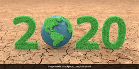 World Environment Day 2020 This Is How The Environment Is Healing