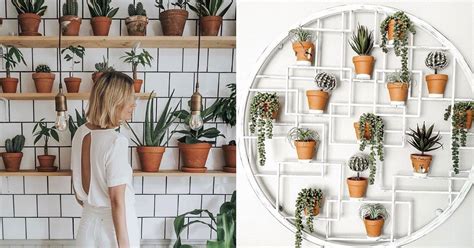 23 Gorgeous Plant Wall Ideas For Small And Big Spaces Popsugar Room