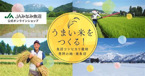 商品一覧 魚沼産コシヒカリ発祥の地南魚沼の美味しいものをお届けJAみなみ魚沼公式オンラインショップ