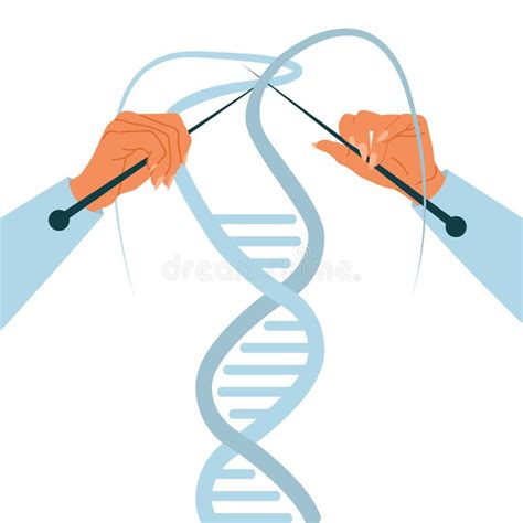 Process Of Molecular Cloning Editing Modification Dna Laboratory Of Anatomical Genes Hands