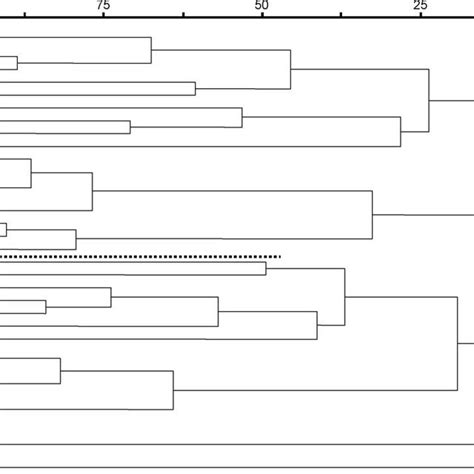 Species Hierarchical Cluster Based On Bray Curtis Similarity Index And Download Scientific