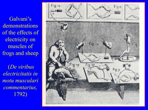 Electromyography And Its Uses About Signals Ppt