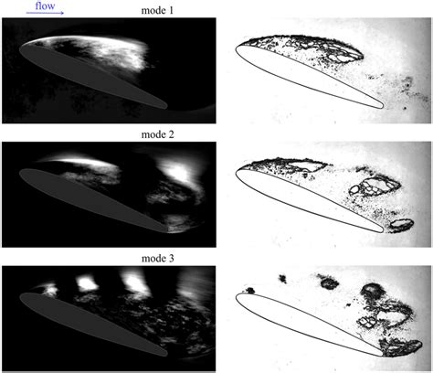 The First Three Most Energetic Modes Of Dmd Analysis For Cavitation