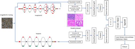 Proposed Ensemble Architecture Using Xception Inceptionv3 For Brc