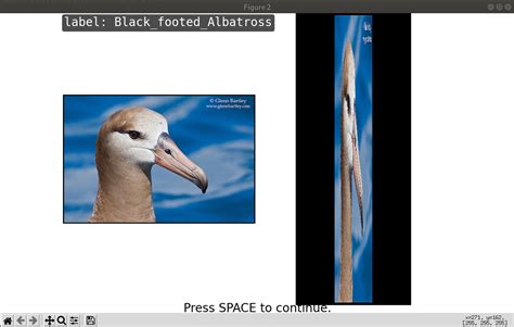 Bug Randomflip Cause `valueerror` When Used In Inference · Issue 887 · Open Mmlabmmpretrain