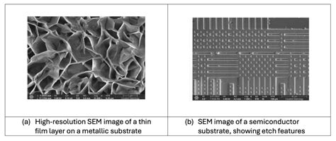 Sem Vs Tem Which Electron Microscopy Method To Use