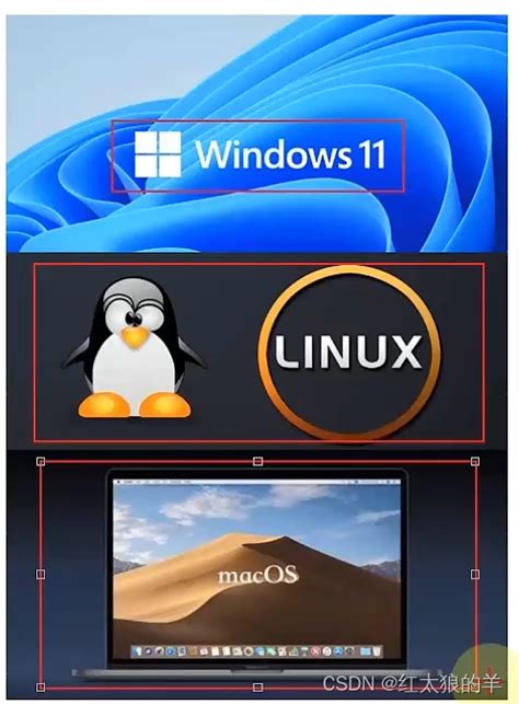 Linux的基础编程——初识linux(一) Csdn博客 Linux的基础编程——初识linux(一) Csdn博客