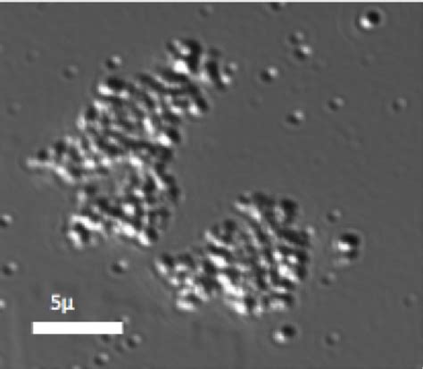 Figure 21 From Isotope Fractionation During Oxidation Of Tetravalent