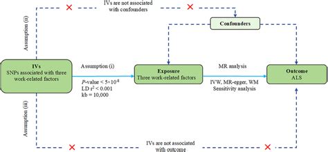 The Basic Assumptions Of Mendelian Randomization Mr Study Assumption