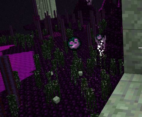 Bug · Issue 1034 · Rebirth Of The Nightrebirth Of The Night · Github