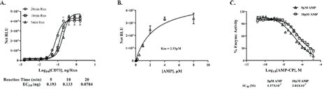 Effect Of Enzyme Concentration Substrate Concentration And Ic 50