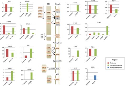 The Ecm Receptor Interaction Pathway The Interaction Between The Download Scientific Diagram